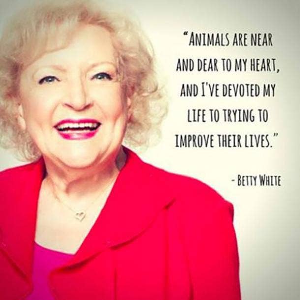23 Best Betty White Quotes And Funny Memes In Celebration Of Her Life Yourtango
